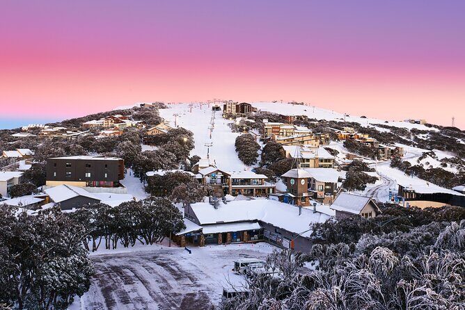 Mt Buller Day Tour  Best Value Hire & Genuine 5 Hours Fun - Core Takeaways