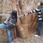 Mt Field, Mt Wellington & Tassie Devils Active Tour from Hobart - FAQs