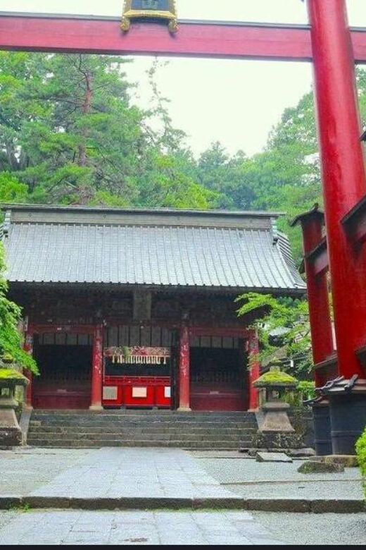 Mt.FUji and Cherry Blossom Full Day Trip with English Driver - Who Is This Tour Best For?