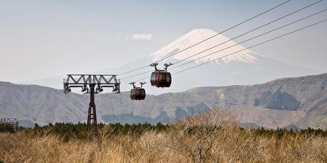 Mt. Fuji and Hakone Private Tour with English Speaking Guide - What Travelers Say: The Real Experiences