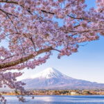 Mt. Fuji and Lake Kawaguchi Scenic 1-Day Bus Tour From Tokyo - The Itinerary in Detail