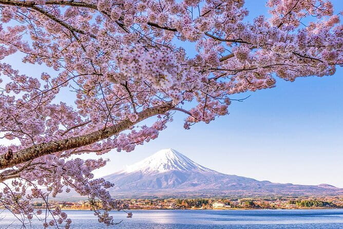 Mt. Fuji and Lake Kawaguchi Scenic 1-Day Bus Tour From Tokyo - The Itinerary in Detail