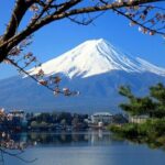 Mt. Fuji, Cherry Blossom & Shiba Sakura Pvt. Day Tour - Practical Considerations and Potential Drawbacks