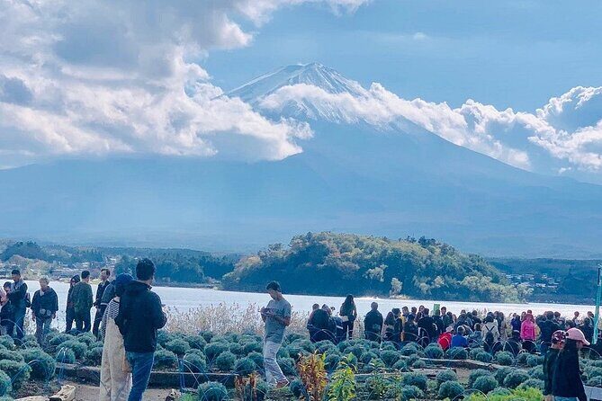 Mt. Fuji Day Trip from Tokyo with English Speaking Driver - The Itinerary: Unpacking the Day