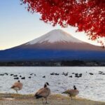 Mt Fuji Exclusive Tour with Private Car English Guide - A Deep Dive into the Itinerary