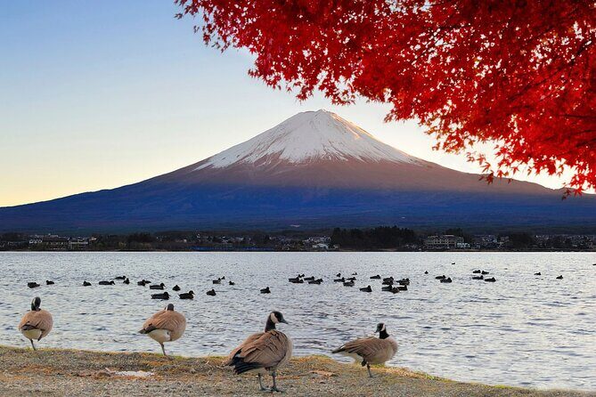 Mt Fuji Exclusive Tour with Private Car English Guide - A Deep Dive into the Itinerary