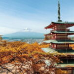 Mt Fuji Exploration Tour with Free Japanese Kusa Mochi from Tokyo - What to Expect from the Mount Fuji Exploration Tour