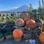 Mt. Fuji & Hakone Cherry Blossom private One Day Tour - The Verdict