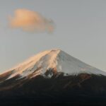Mt Fuji, Hakone Private Tour by Car with Pickup - Who Should Consider This Tour?