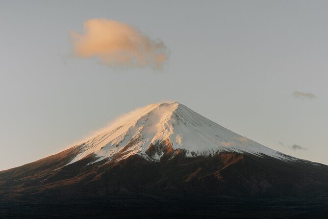 Mt Fuji, Hakone Private Tour by Car with Pickup - Who Should Consider This Tour?