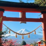 Mt Fuji & Hakone Private Tour from Tokyo & Yokohama - Who Is This Tour Best For?