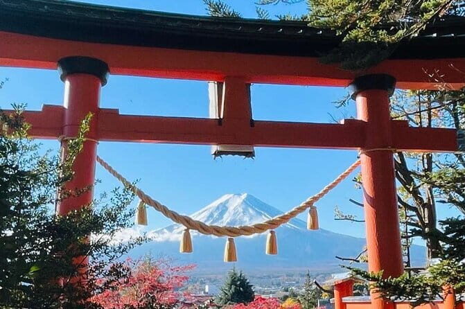 Mt Fuji & Hakone Private Tour from Tokyo & Yokohama - Who Is This Tour Best For?