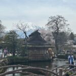 Mt. Fuji & Hakone Private Tour T/F Tokyo, Yokohama up to 12 - What You Can Expect: The Day Unfolds