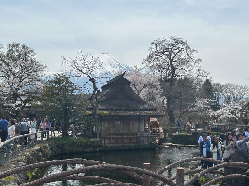 Mt. Fuji & Hakone Private Tour T/F Tokyo, Yokohama up to 12 - What You Can Expect: The Day Unfolds