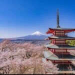 Mt.Fuji Hakone Private Tour with English Speaking Chauffeur - Practical Details and What You Can Expect