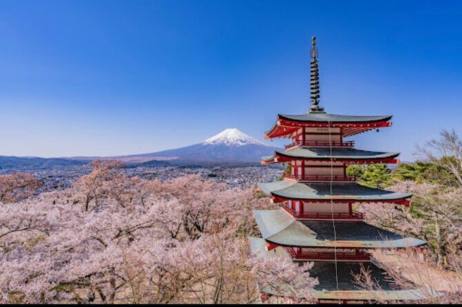 Mt.Fuji Hakone Private Tour with English Speaking Chauffeur - Practical Details and What You Can Expect