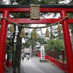 Mt Fuji Lake Kawaguchi Oshino Hakkai Gotemba | Tokyo with Lunch - The Practical Side: Transportation, Timing, and Cost