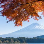 Mt. Fuji or Hakone Private Sightseeing Day Trip From Tokyo - First Stop: Kitaguchi Hongu Fuji Sengen Shrine