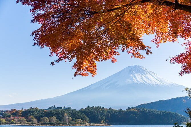 Mt. Fuji or Hakone Private Sightseeing Day Trip From Tokyo - First Stop: Kitaguchi Hongu Fuji Sengen Shrine