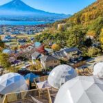 Mt. Fuji Private Tour by Car with Pick-up from Tokyo - Who Should Consider This Tour?