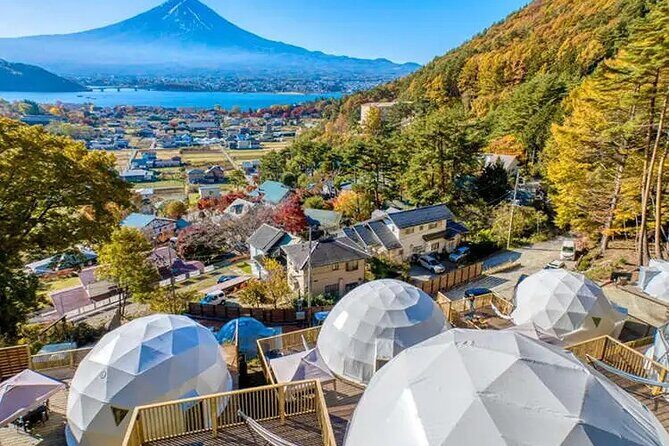 Mt. Fuji Private Tour by Car with Pick-up from Tokyo - Who Should Consider This Tour?