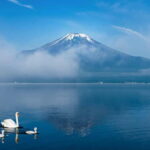 Mt Fuji Tour Customizable, fully Licenced Tour Operator - The Value of a Private, Fully Licenced Tour
