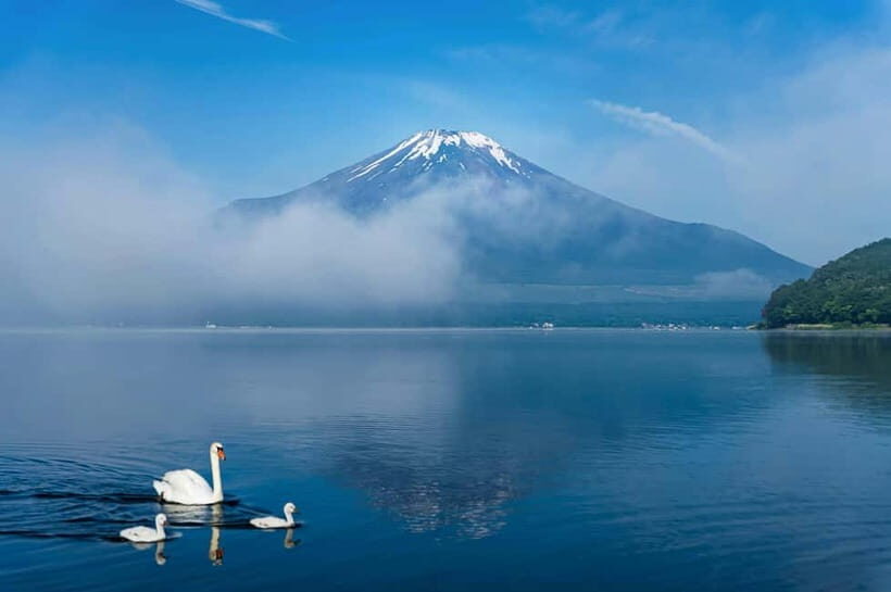 Mt Fuji Tour Customizable, fully Licenced Tour Operator - The Value of a Private, Fully Licenced Tour