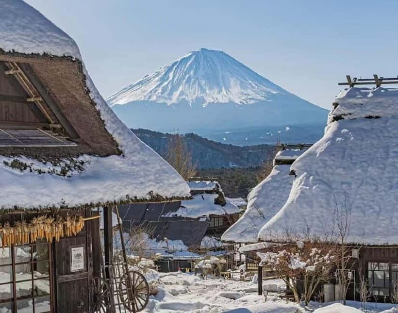 Mt Fuji Tour: Lake Kawaguchi, Shrine,Healing Village &Pagoda - Who Should Consider This Tour?