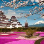 Mt Fuji Tour With Experienced English Driver - Final Thoughts: Is It Worth It?