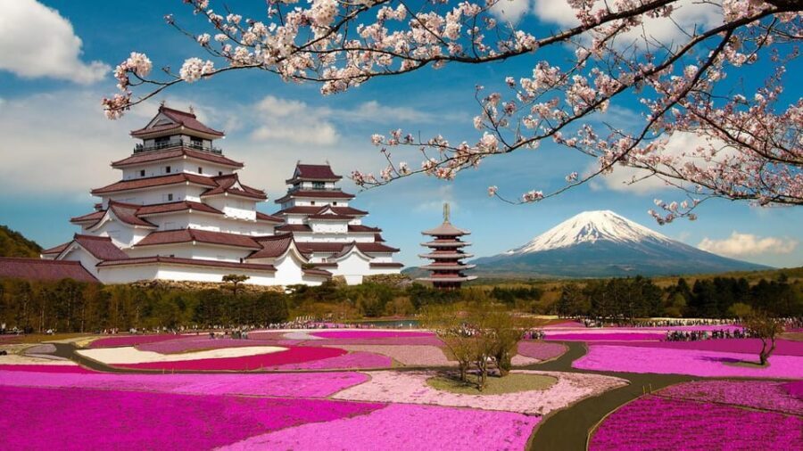 Mt Fuji Tour With Experienced English Driver - Final Thoughts: Is It Worth It?