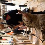 Mt. Hay Farm Experience Genuine Country Farming(Carbon Positive) - Key Points