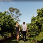 Mt Tamborine Shuttle Service - Gold Coast Return Transfer - Who Will Appreciate This Tour?