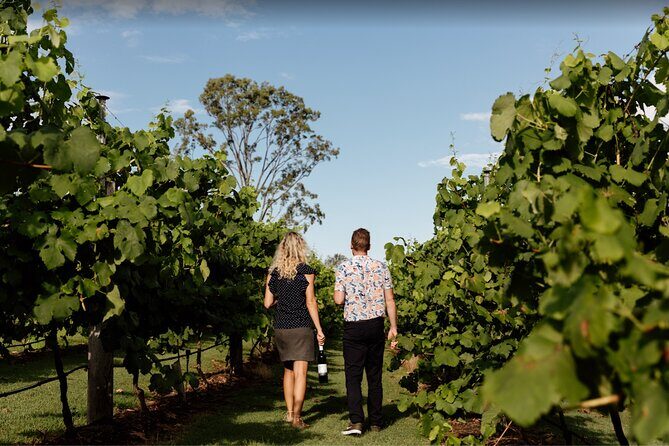 Mt Tamborine Shuttle Service - Gold Coast Return Transfer - Who Will Appreciate This Tour?