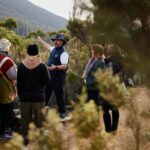 Mt Wellington Ultimate Afternoon Tour - What Past Travelers Say