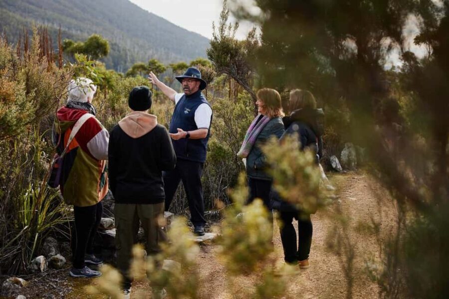 Mt Wellington Ultimate Afternoon Tour - What Past Travelers Say