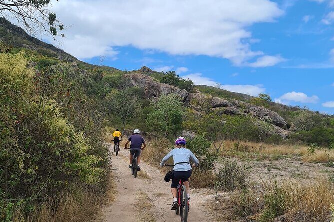 MTB Bike Tour: Tree of the Tule on mountain trails - Who Should Consider This Tour?