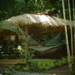Mud Pools, Gardens, Markets, Temple & Shopping-Nadi Tour half day - The Sum Up: A Well-Rounded Snapshot of Nadi