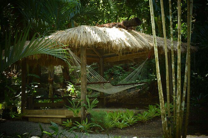 Mud Pools, Gardens, Markets, Temple & Shopping-Nadi Tour half day - The Sum Up: A Well-Rounded Snapshot of Nadi