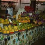 Mud Pools,Temple Sleeping Giants Gardens shopping markets &Lunch Ex Fiji Marriot - A Detailed Breakdown of Your Fiji Experience