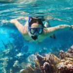 Mui Ne: Hidden Waterfall, Vinh Hy Bay Snorkeling Adventure - Snorkeling in Vinh Hy Bay: Marine Marvels