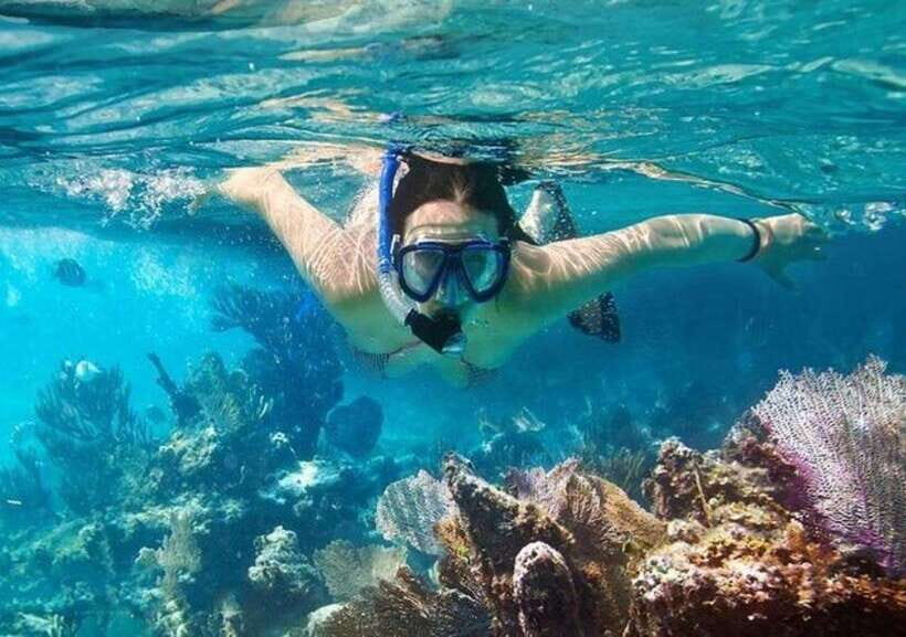 Mui Ne: Hidden Waterfall, Vinh Hy Bay Snorkeling Adventure - Snorkeling in Vinh Hy Bay: Marine Marvels