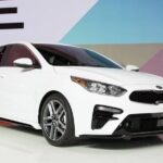 Mui Ne to Nha Trang - Private Transfer - A Closer Look at the Experience