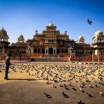 Multi-Day Incredible Golden Triangle Tour of India - Delhi Jaipur Agra - Transportation and Guides: Making the Journey Smooth