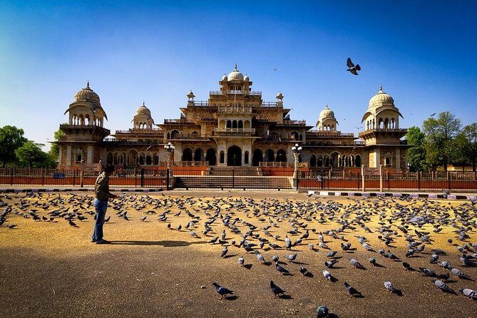 Multi-Day Incredible Golden Triangle Tour of India - Delhi Jaipur Agra - Transportation and Guides: Making the Journey Smooth