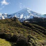 Multi Day Tour to New Plymouth and Taranaki Region from Hamilton - Why This Tour Offers Good Value
