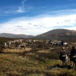 Multi-Day Tour to the Reindeer Tribe in Mongolia - Who Will Love This Tour?