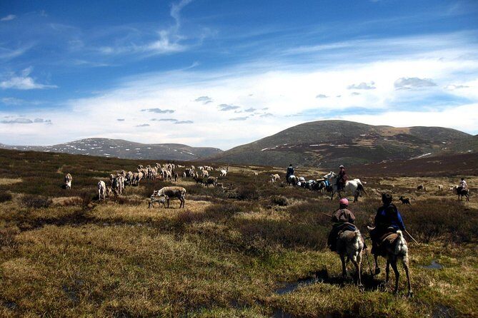 Multi-Day Tour to the Reindeer Tribe in Mongolia - Who Will Love This Tour?