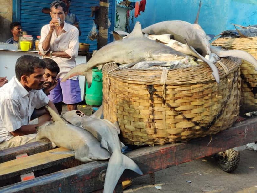 Mumbai Coastal Cooking: From Fishing Net to Flavourful Plate - Final Thoughts