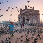 Mumbai Marvels Tour | 4 Hour Private City Tour with Guide - A Closer Look at the Itinerary and Highlights