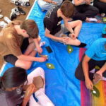 Mumbai: Warli Workshop in Sanjay Gandhi National Park - Practical Details & Tips